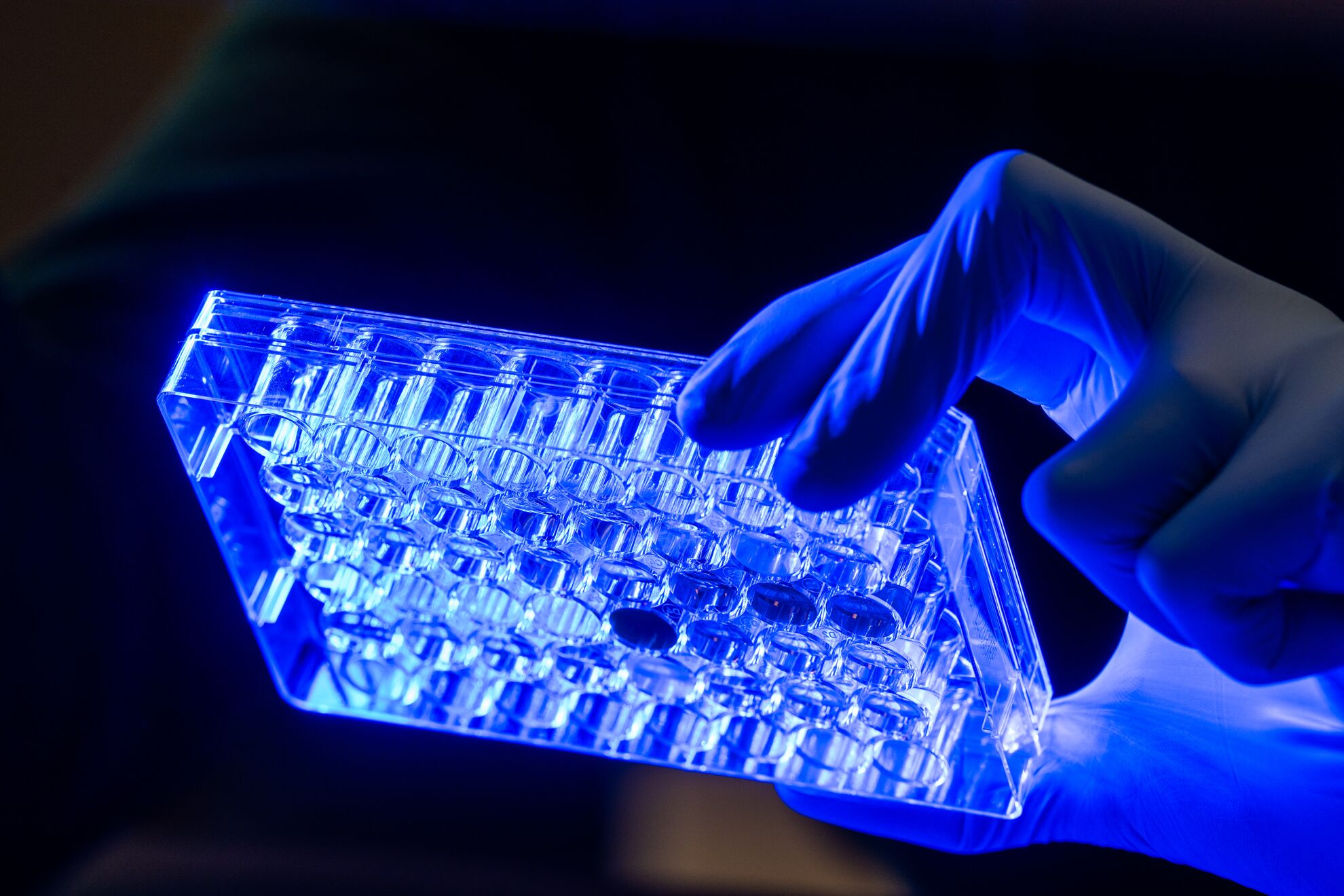 Predictive Phenomics | PNNL